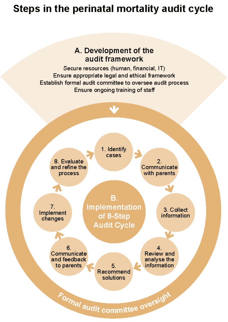 Part A: Audit framework | Stillbirth CRE eLearning